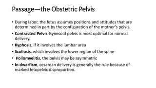 Abnormal Labour.pdf identification of abnormal labour during delivery | PDF
