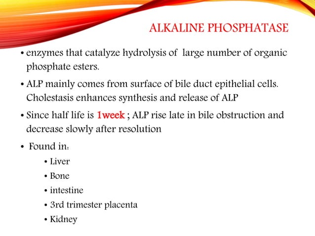 APPROACH TO ABNORMAL LFT | PPTX | Blood Disorders | Diseases and Conditions