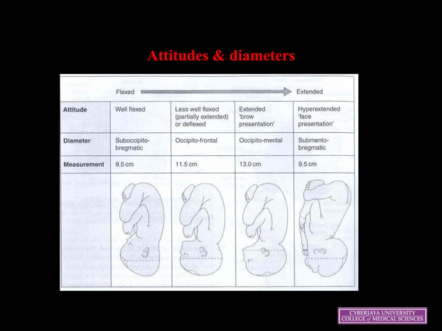 Abnormal lie & presentation | PDF | Pregnancy | Reproductive Health