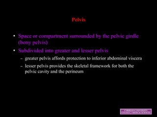 Abnormal lie & presentation | PDF