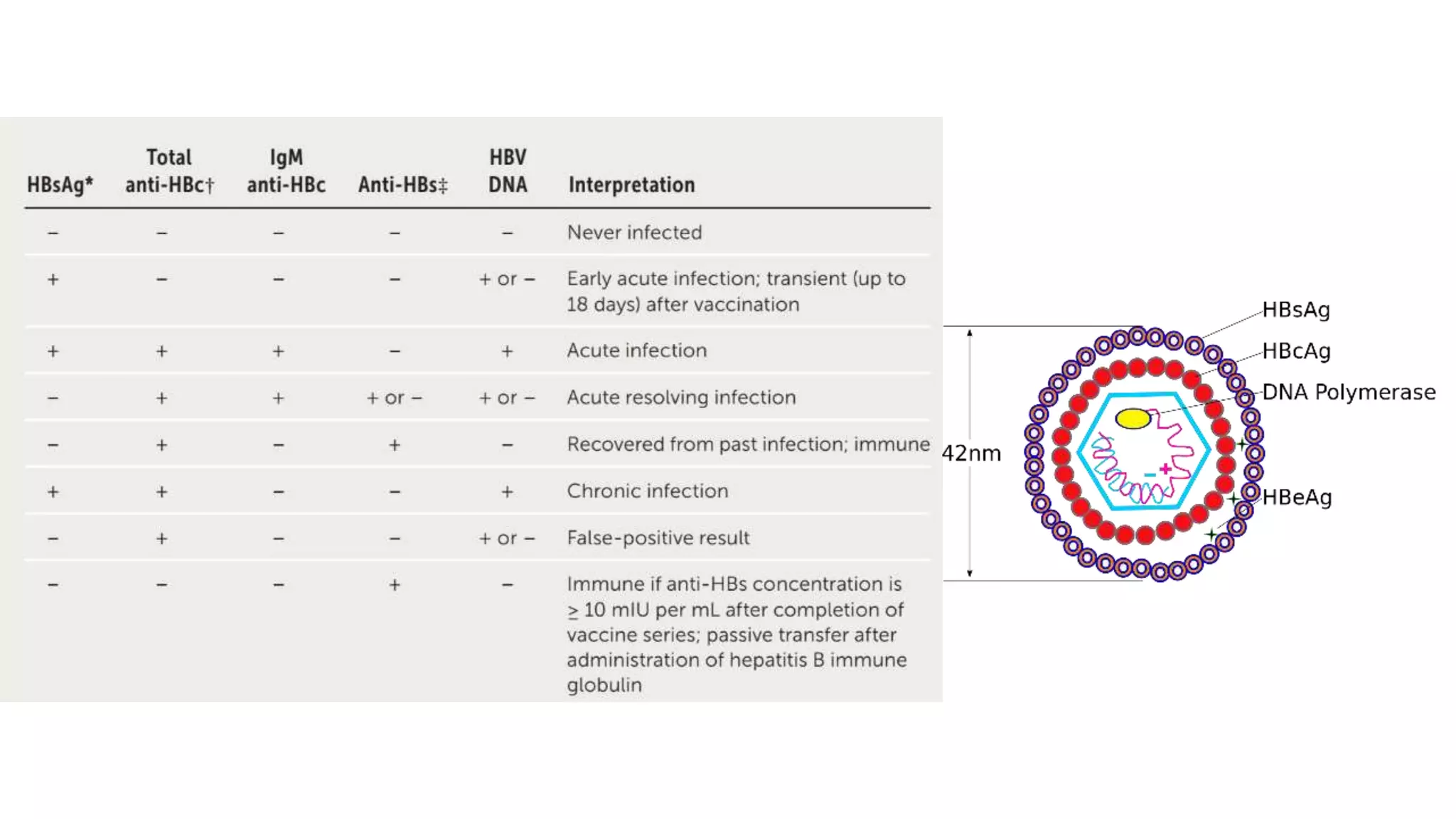 Abnormal liver function tests | PPTX