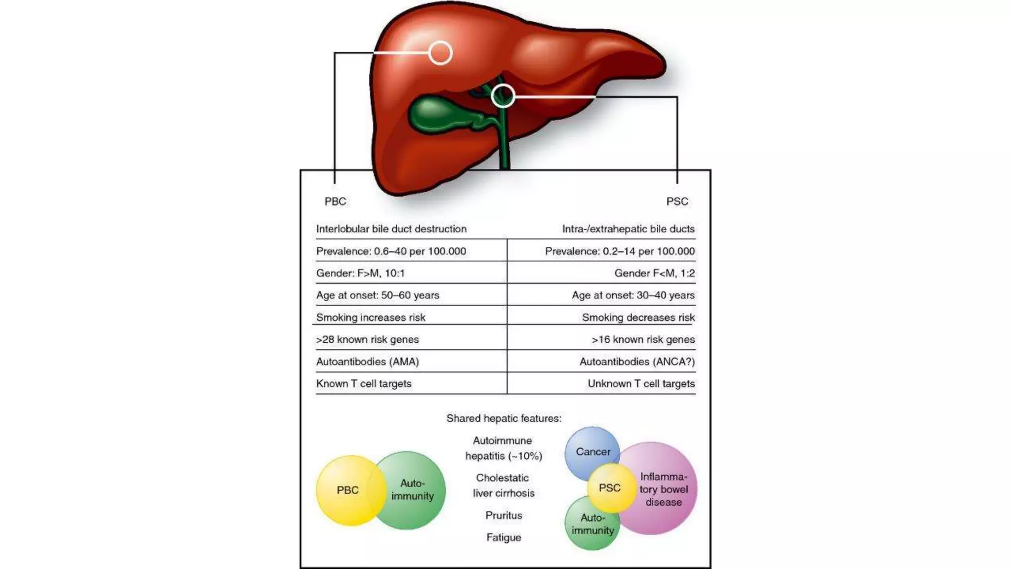 Abnormal liver function tests | PPTX
