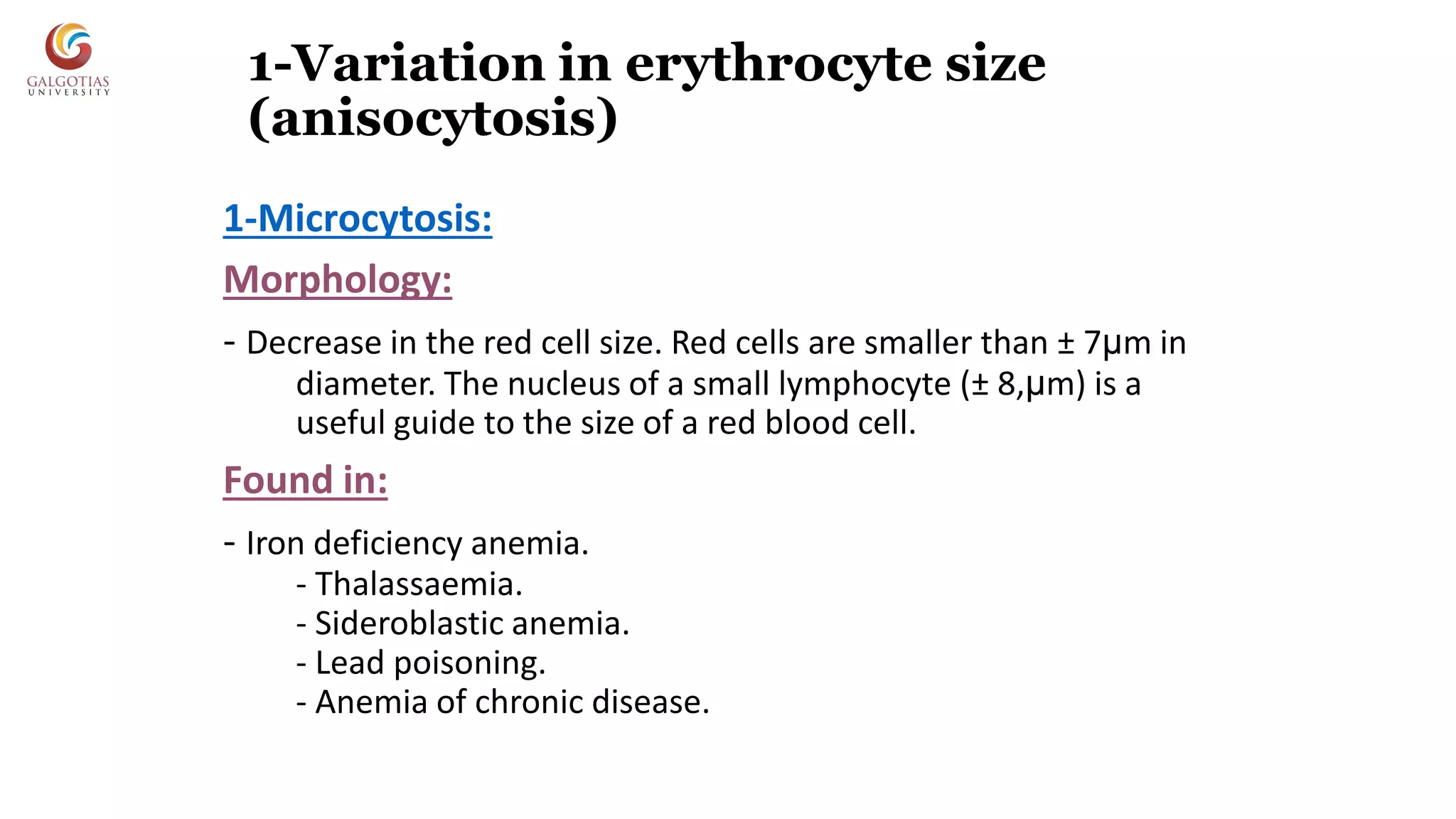 Abnormal morphology of rbc notes | PDF