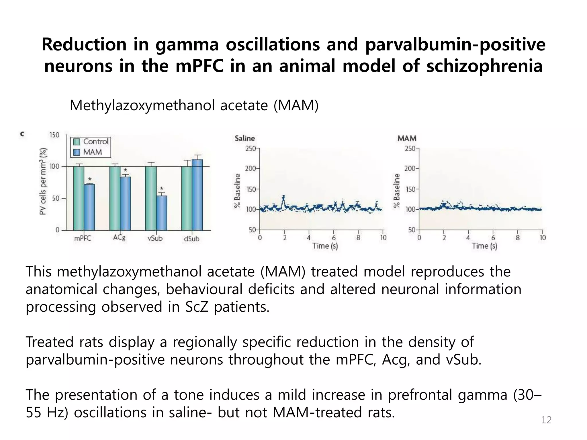 Abnormal Neural Oscillations And Synchrony In Schizophrenia | PDF