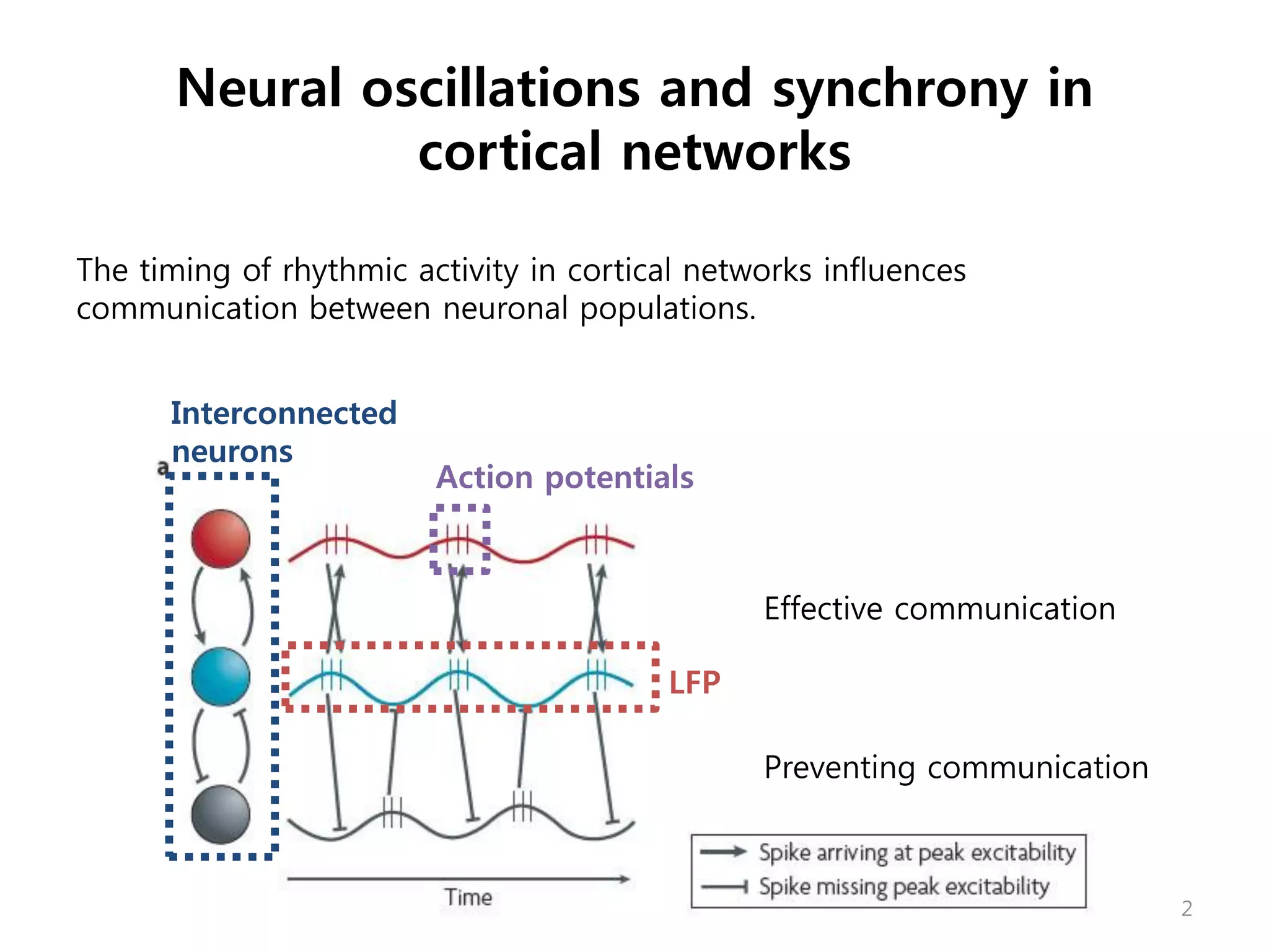 Abnormal Neural Oscillations And Synchrony In Schizophrenia | PDF