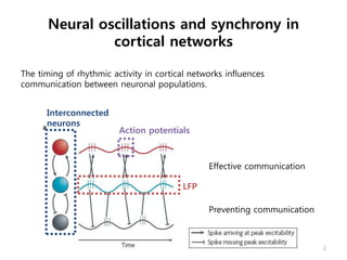 Abnormal Neural Oscillations And Synchrony In Schizophrenia | PPT