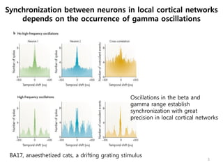 Abnormal Neural Oscillations And Synchrony In Schizophrenia | PPT