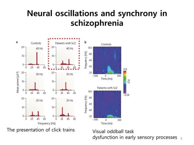 Abnormal Neural Oscillations And Synchrony In Schizophrenia | PPT
