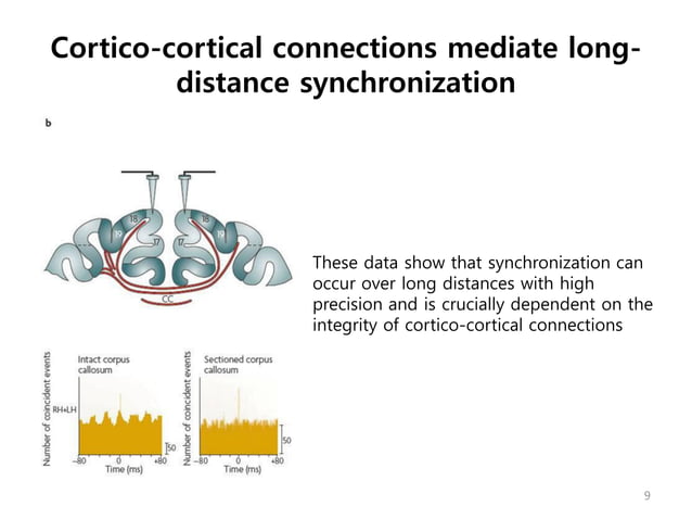 Abnormal Neural Oscillations And Synchrony In Schizophrenia | PPT