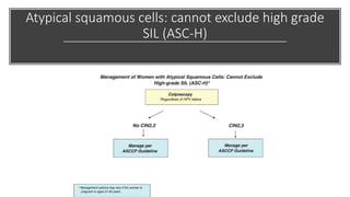 Management of Abnormal Pap Smear .pptx