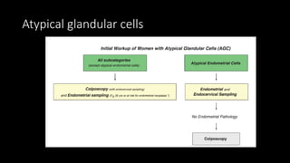 Management of Abnormal Pap Smear .pptx