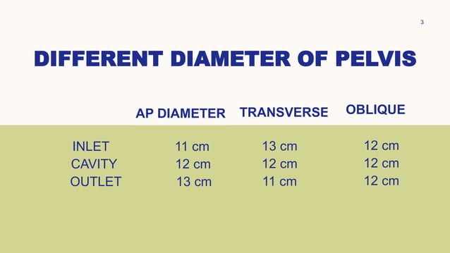 Abnormal pelvis.pptx