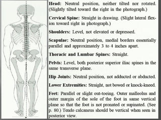 Abnormal posture in human body biomechanics.pdf