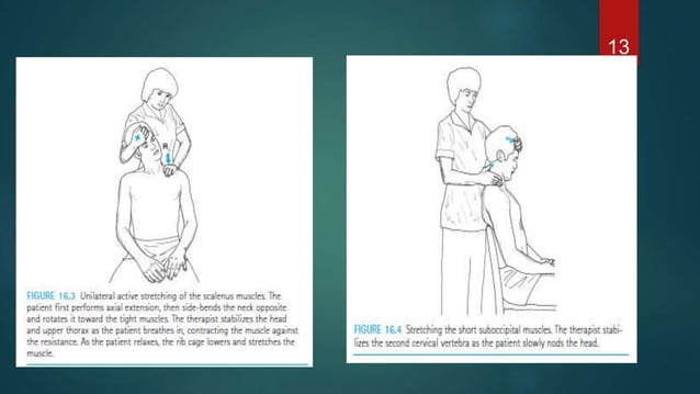 Abnormal posture in rs | PPTX | Lung and Respiratory Health | Diseases ...