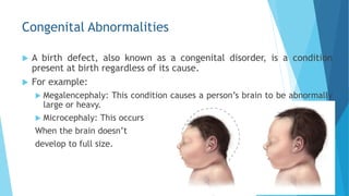 Neuro-psychological Factors Leading to Abnormal Behaviour | PPT