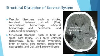 Neuro-psychological Factors Leading to Abnormal Behaviour | PPT