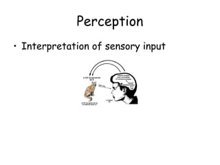 Abnormal psychology | PPT