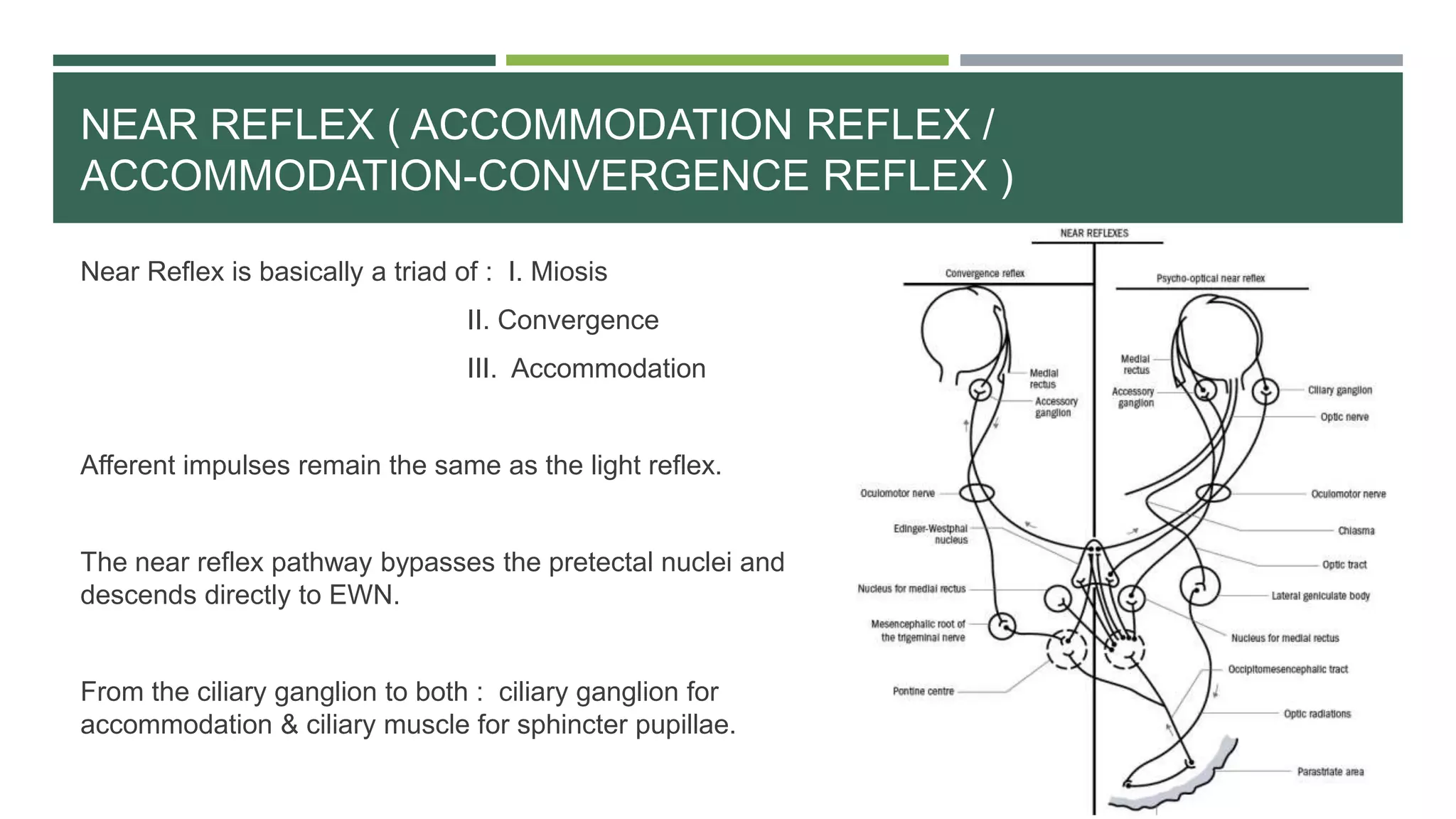 Abnormal pupil reactions - mehedi hasan | PPTX