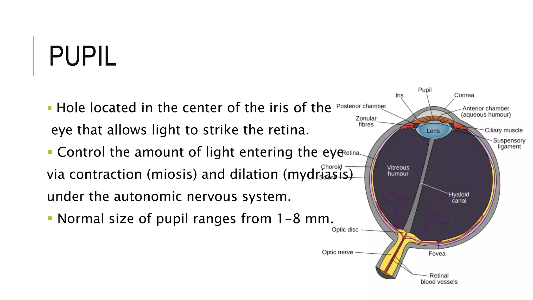 Abnormal reactions of pupil | PPTX
