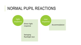 Abnormal reactions of pupil | PPTX