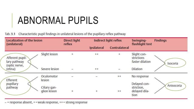 Abnormal reactions of pupil | PPTX