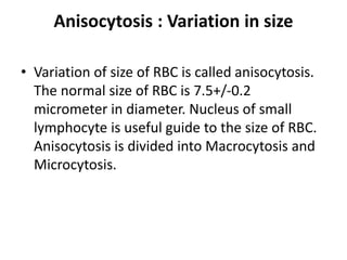 Abnormal red blood cell morphologies | PPTX