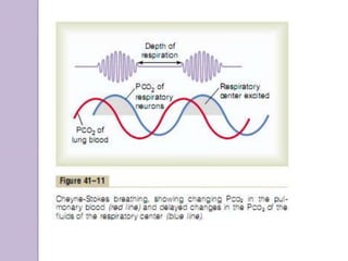 Abnormal types of respiration, HYPOXIA, ASPHYXIA, Cyanosis (The guyton ...