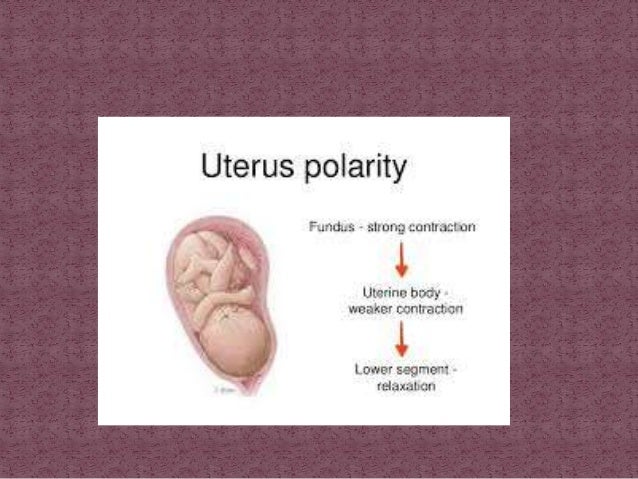 Abnormal uterine action