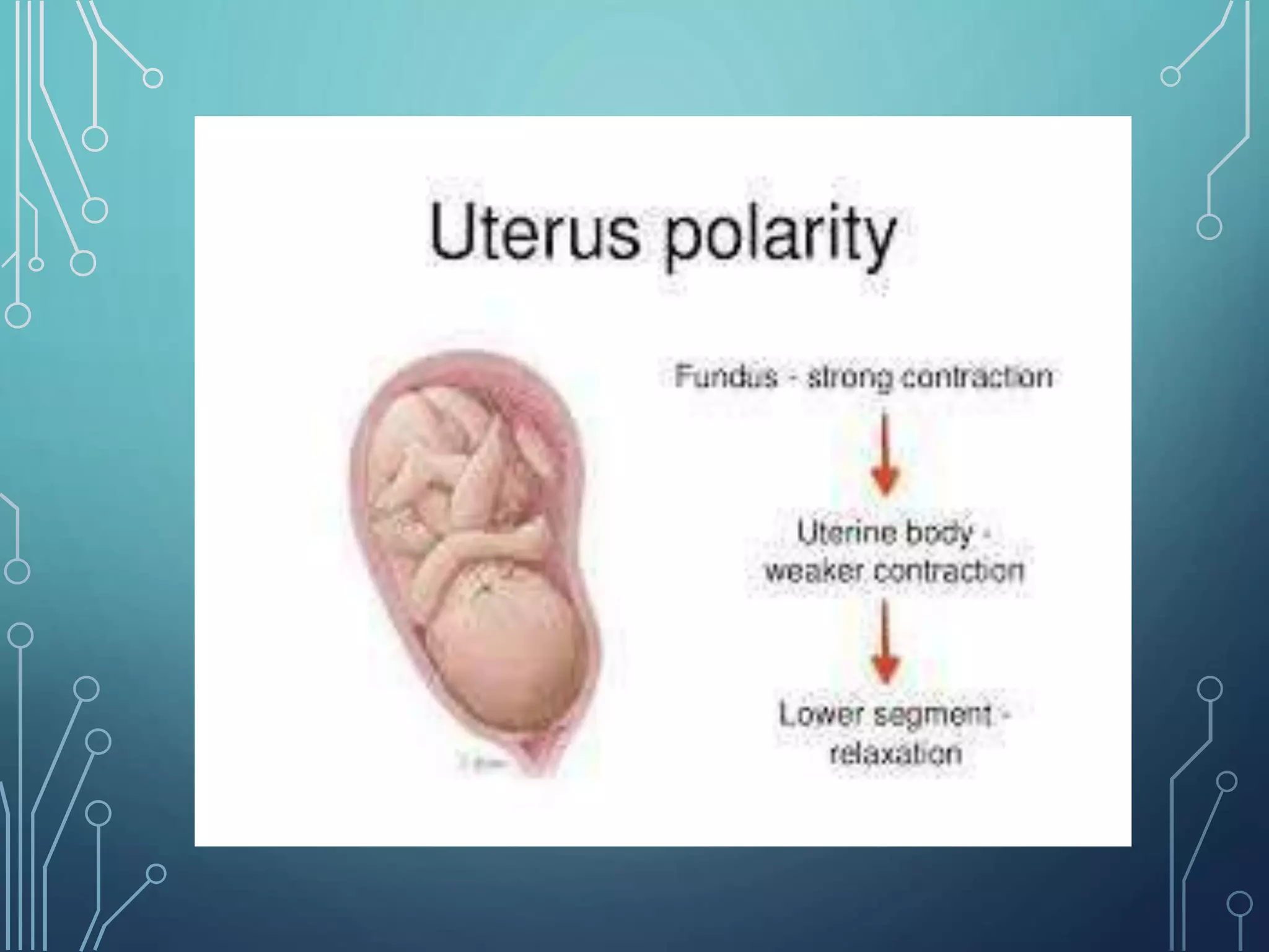 Abnormal uterine action | PPTX