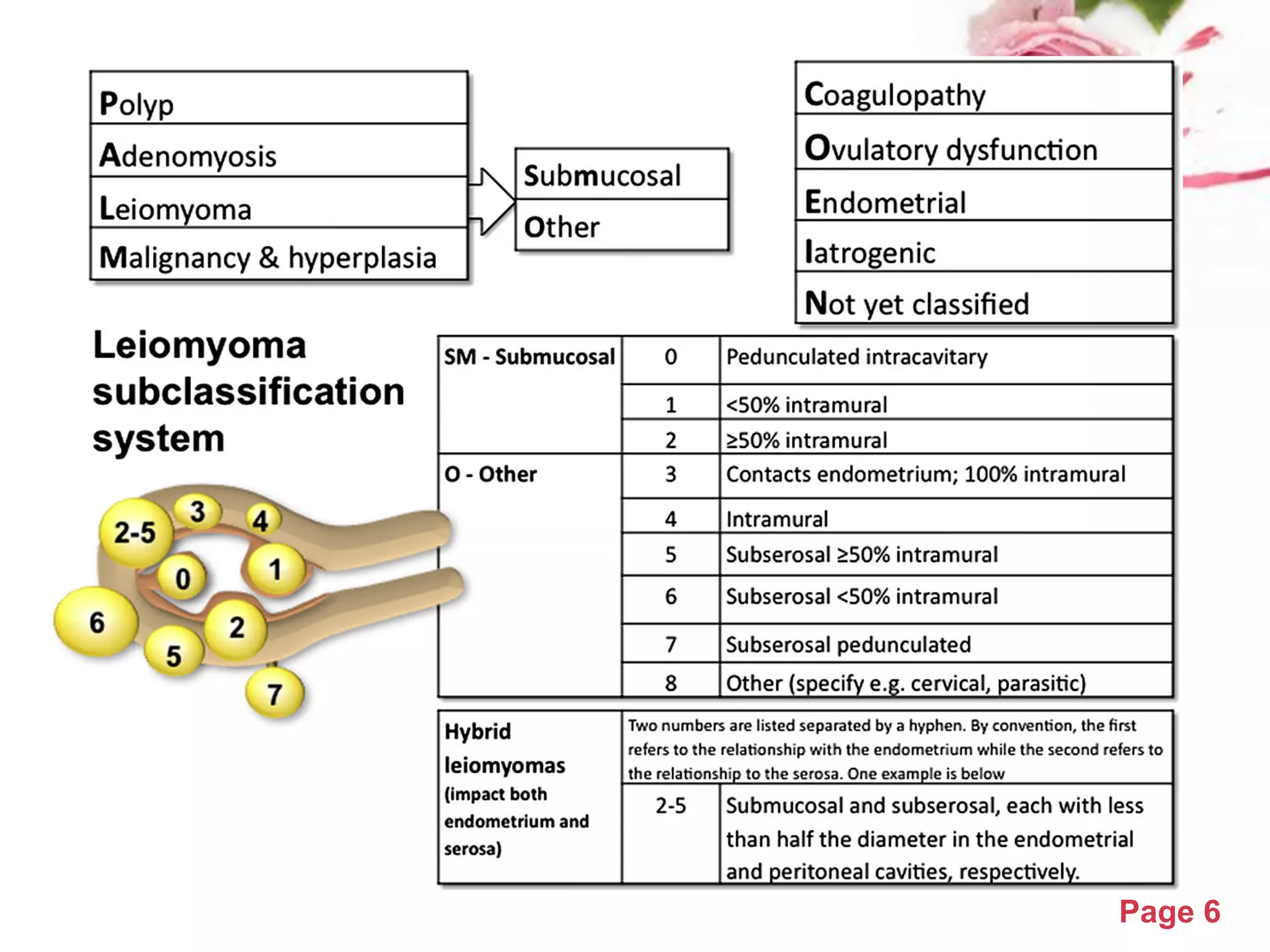 Abnormal uterine bleeding prof jamiyah hassan | PDF