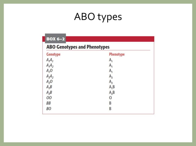 Abo | PPT