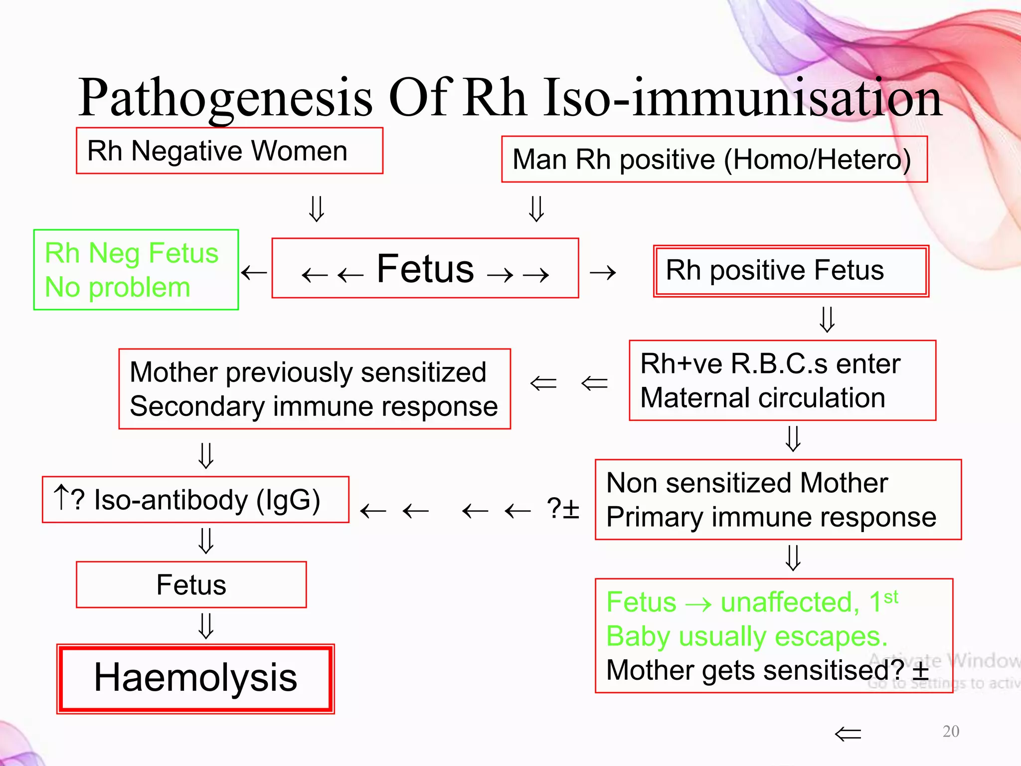 ABO-Rh Isoimmunisation in that The Basics of Blood, antibody can Be ...