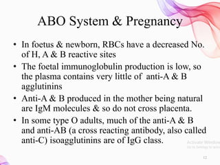 ABO-Rh Isoimmunisation in that The Basics of Blood, antibody can Be ...