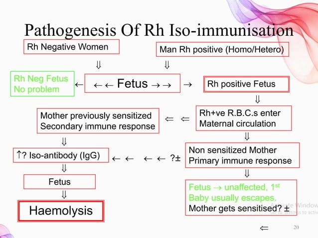 ABO-Rh Isoimmunisation in that The Basics of Blood, antibody can Be ...