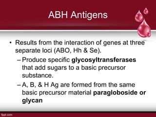 Abo ag, ab, & c | PPT
