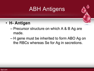 Abo ag, ab, & c | PPT