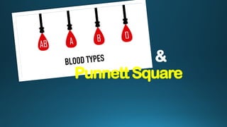 ABO BLOOD AND PUNNETT SQUARE ACTIVITY.pptx