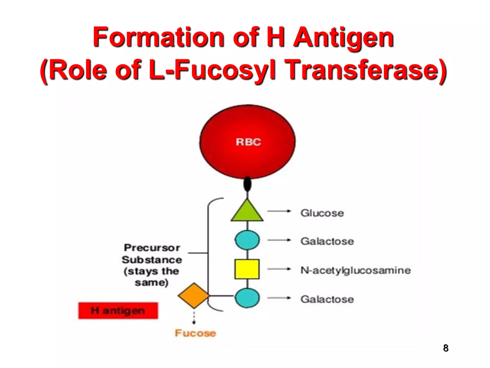ABO Blood group by Dr. Aryan | PPTX