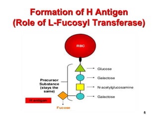 ABO Blood group by Dr. Aryan | PPT