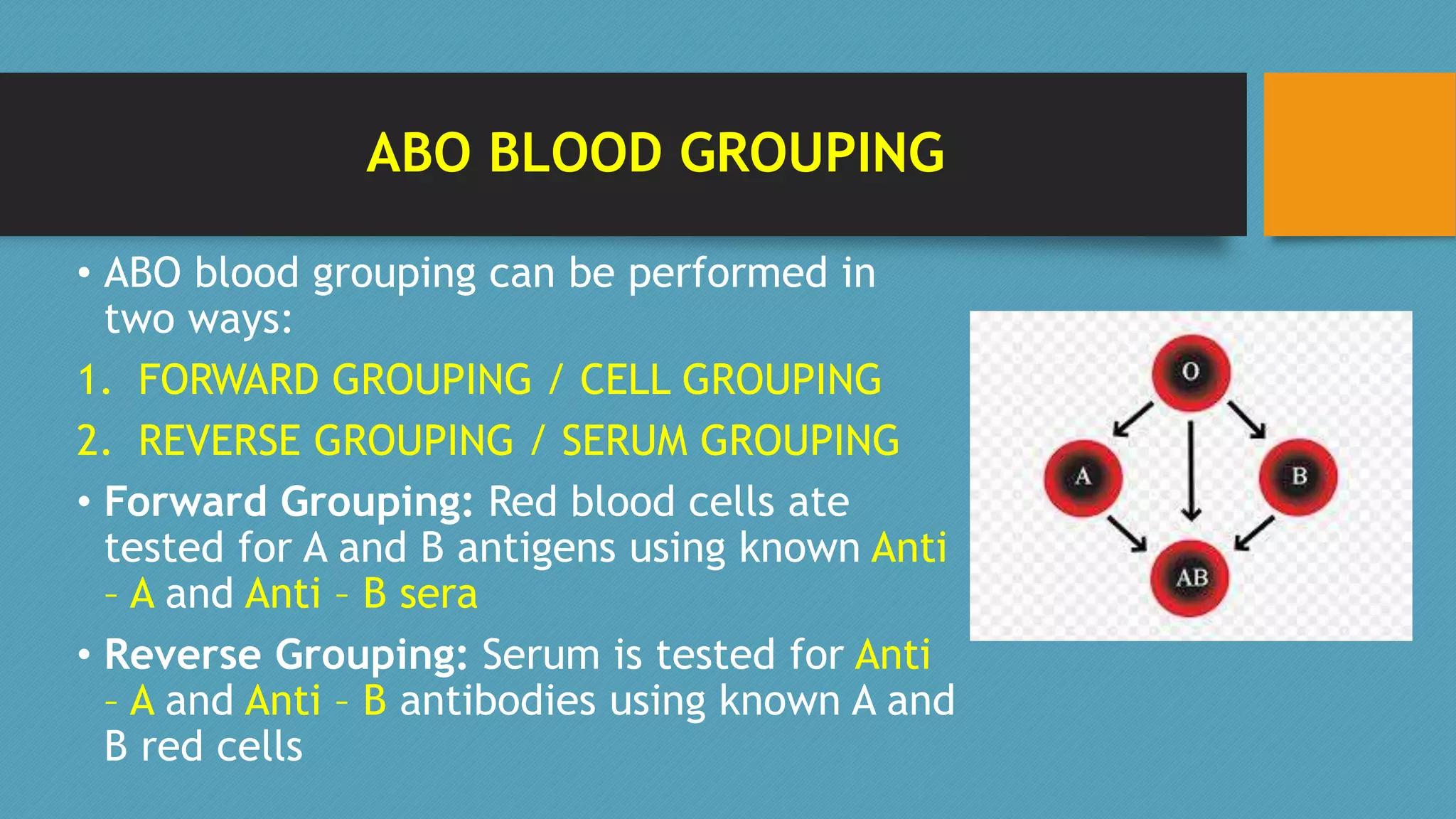 ABO Blood Grouping | PPTX