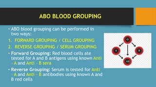 ABO Blood Grouping | PPTX | Blood Disorders | Diseases and Conditions