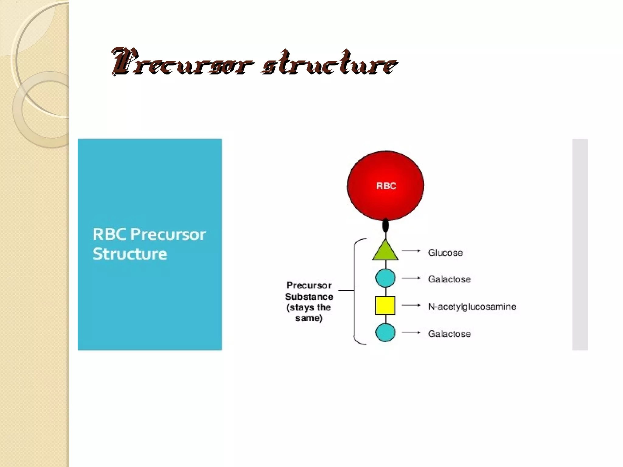 Abo blood group system | PPT