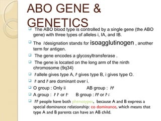 Abo blood group system | PPT