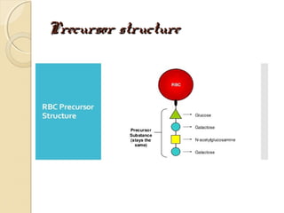 Abo blood group system | PPT