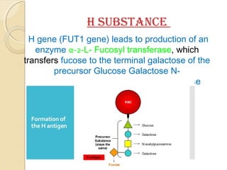 Abo blood group system | PPT