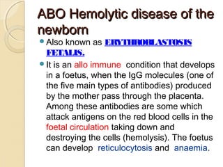 Abo blood group system | PPT