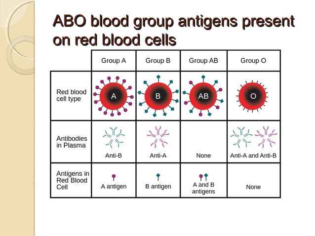 Abo blood group system | PPT