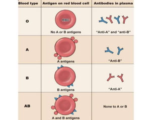 Abo blood group system | PPTX