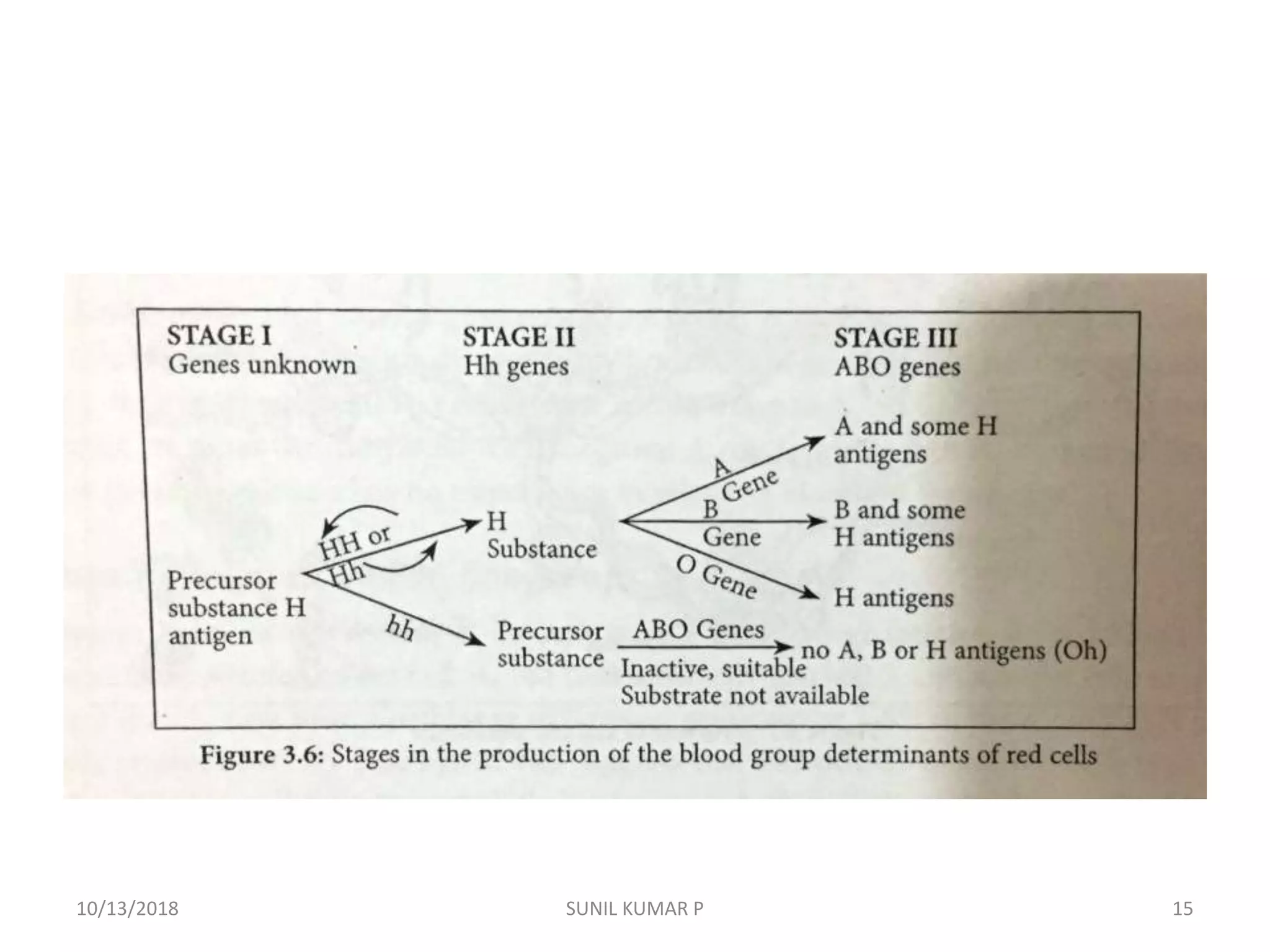 Abo blood group system | PPTX