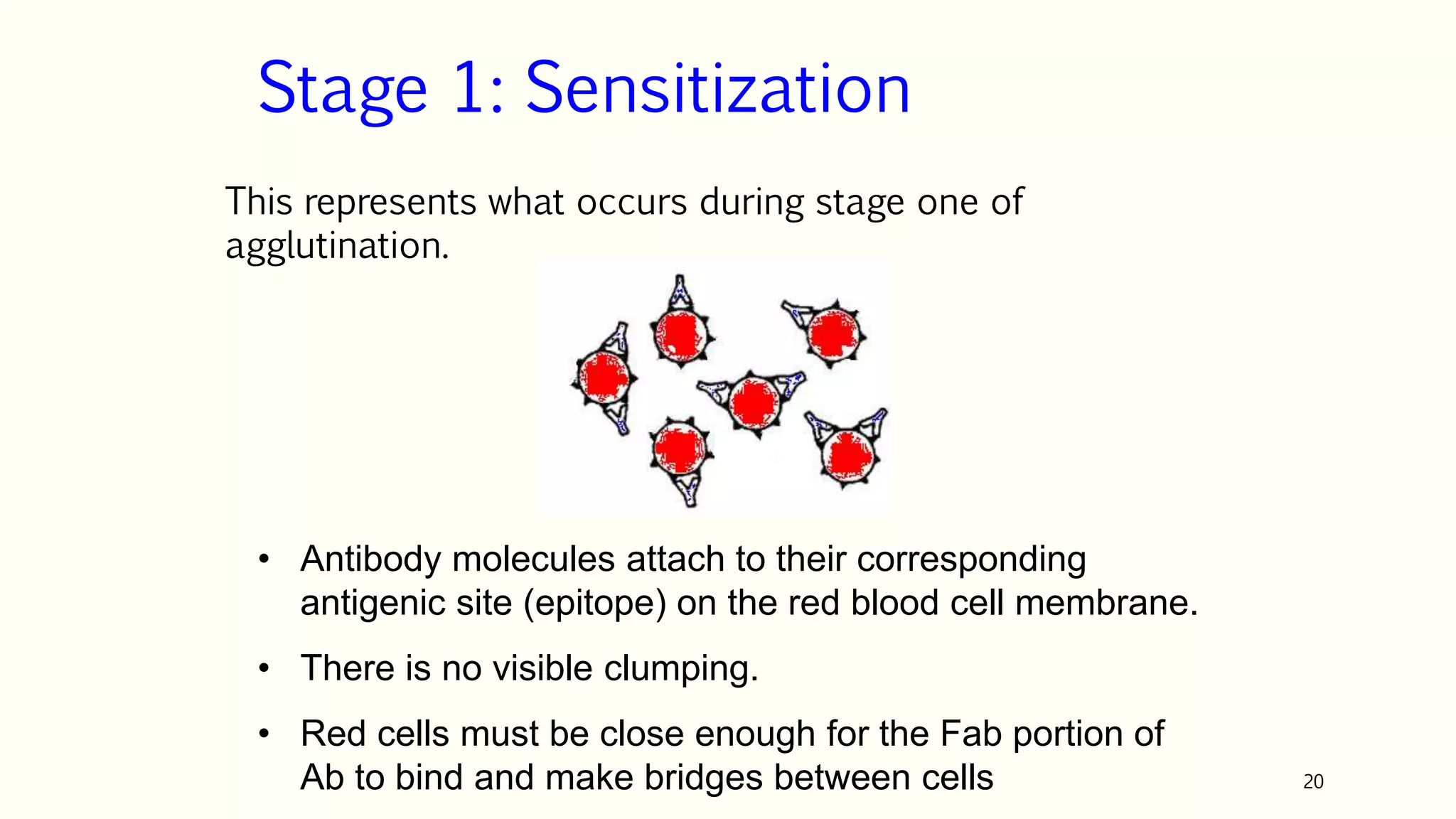 ABO blood group system | PPTX